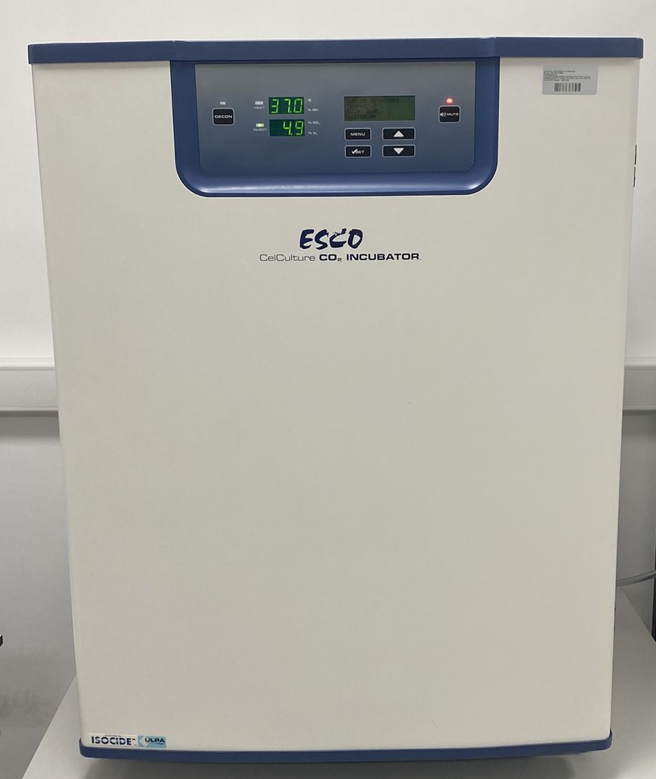 HÜCRE KÜLTÜRÜ LABORATUVARI – YTÜ Merkezi Araştırma Laboratuvarı